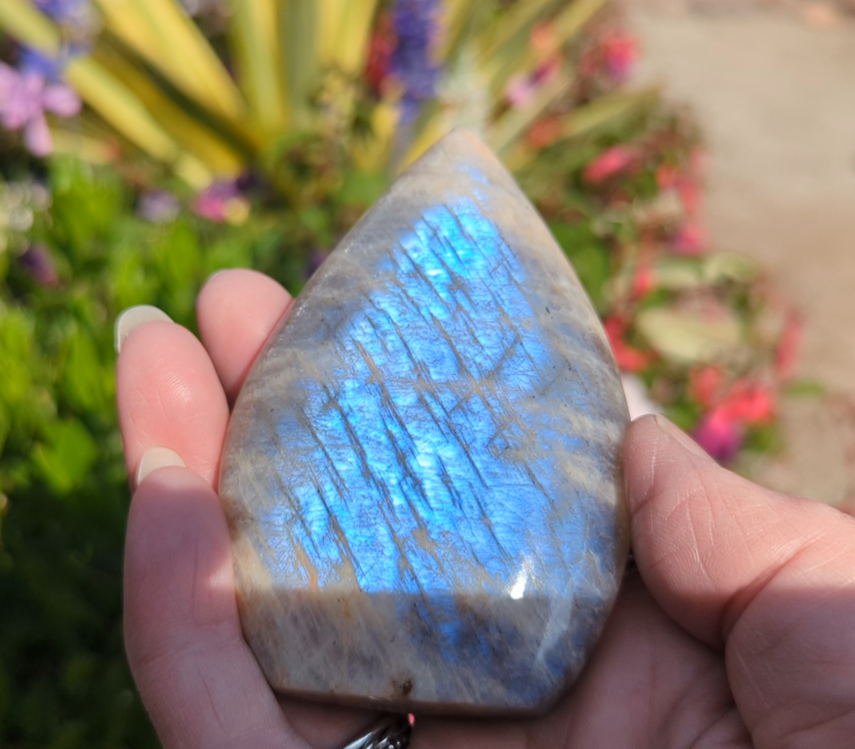 Purple Moonstone Teardrop | Odonata Studios