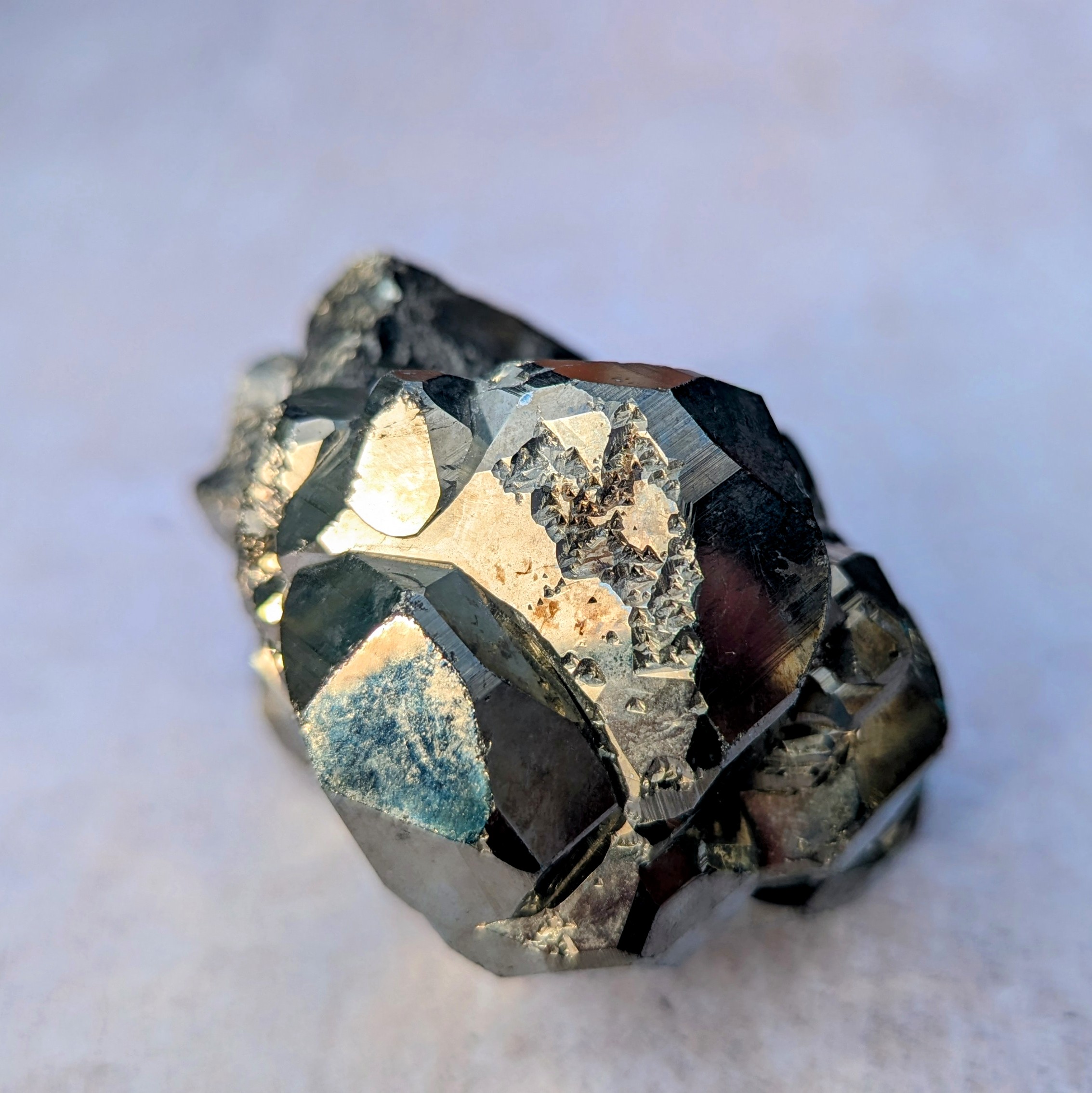 Pyrites Cocos - Collectors Quality | Odonata Studios